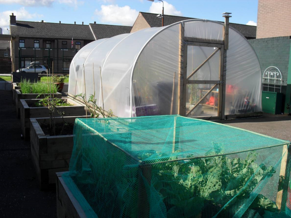 Community Garden Project – One Year On – Grove Community Housing ...