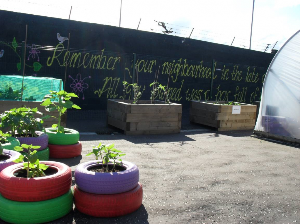 Community Garden Project – One Year On – Grove Community Housing ...